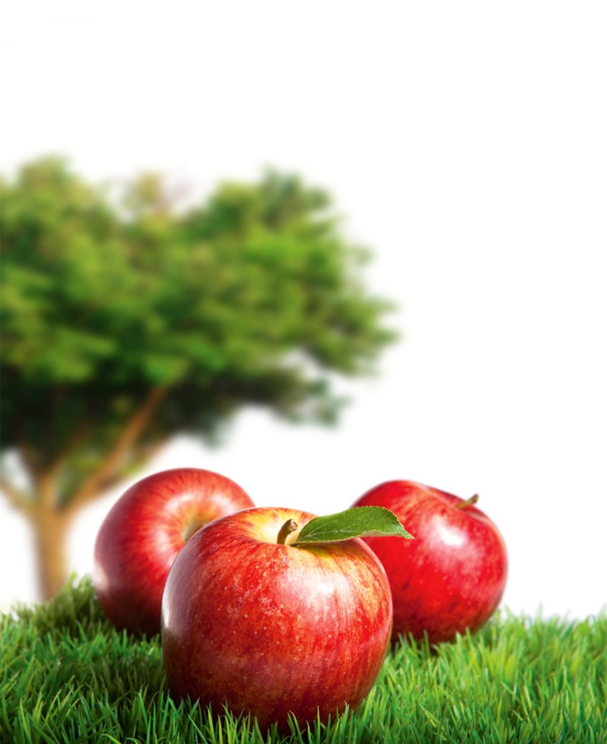 Jabolko spora, jabolko sreče ... | Revija Vzajemnost