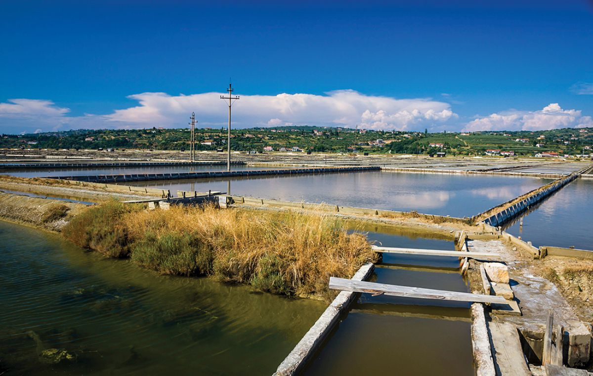 Piran in Sečoveljske soline | Revija Vzajemnost