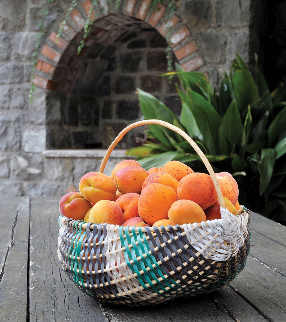 Marelice so zakladnica mladosti | Revija Vzajemnost