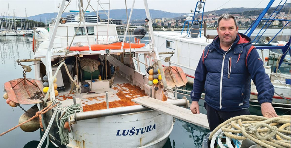 V slovenskem morju je manj rib kot pred desetletjem | Revija Vzajemnost